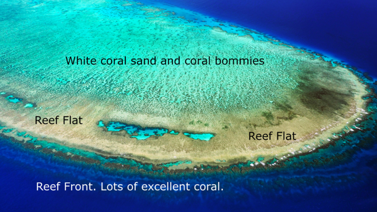 GBR History and Geography – Great Barrier Reef Science Commentary