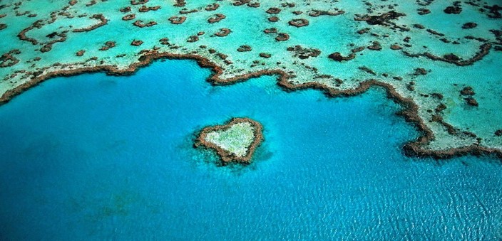 Different types of sediment – Great Barrier Reef Science Commentary